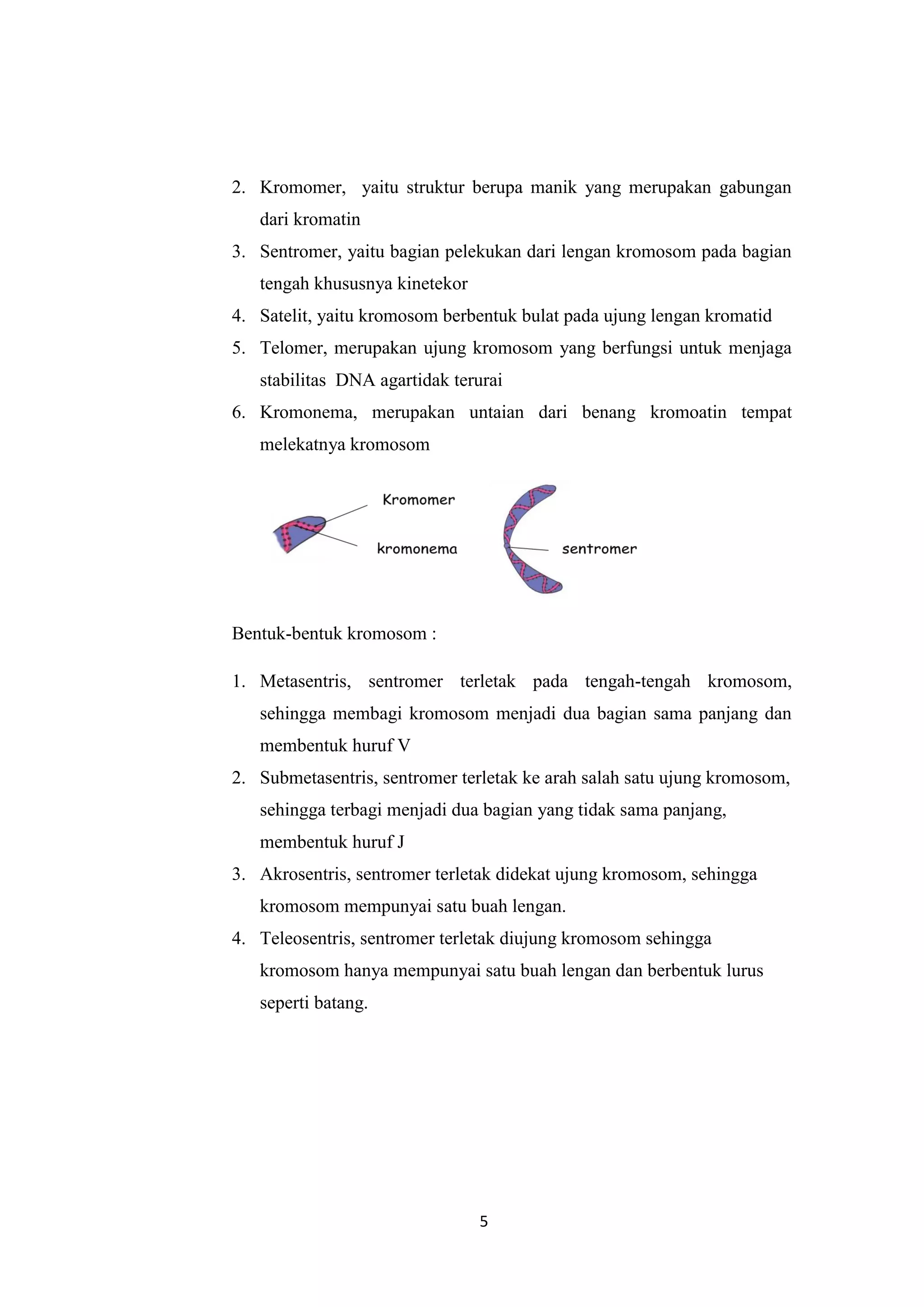 Materi Substansi Genetik | PDF
