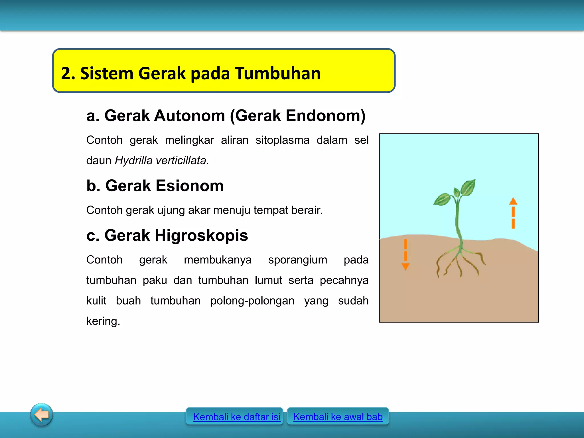Bab i. sistem gerak pada makhluk hidup | PPTX