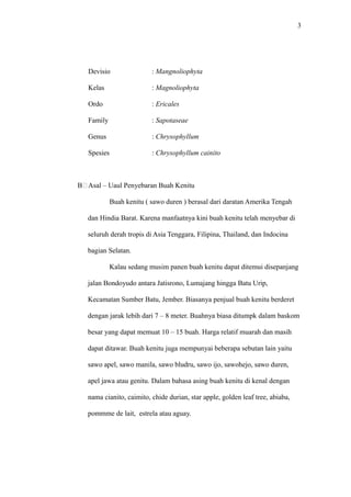 kandungan buah kenitu | RTF