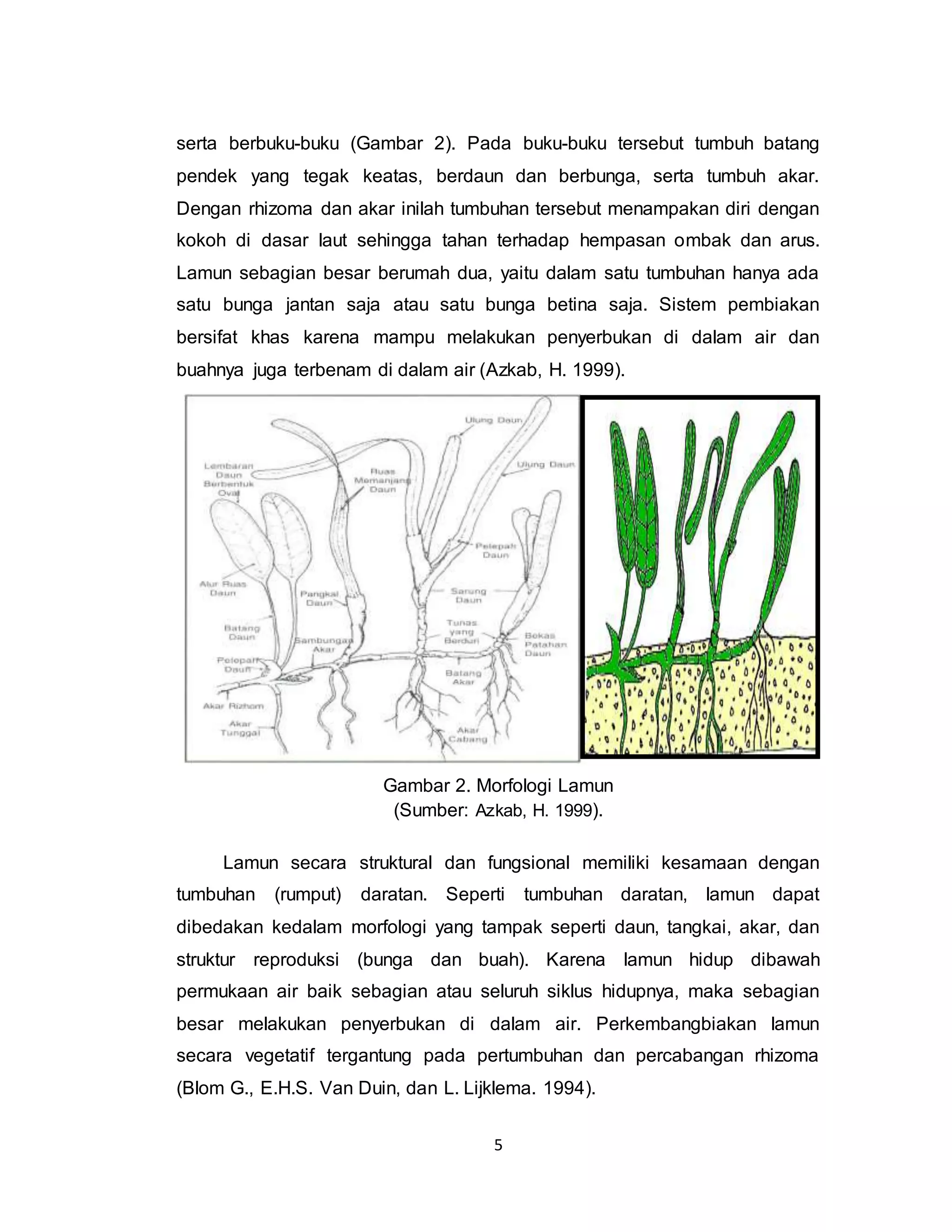 Bab ii Lamun (Seagrass) | DOCX