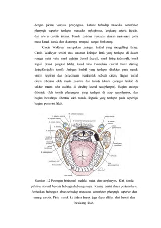abses peritonsil pembahasan THT | DOCX