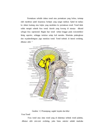 abses peritonsil pembahasan THT | DOCX
