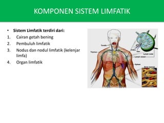 BAB III - Sistem Imun dan Sistem Limfatik.pdf
