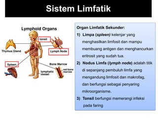 BAB III - Sistem Imun dan Sistem Limfatik.pdf