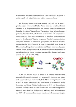 Bab iii hasil dan pembahasan isolasi dna | PDF
