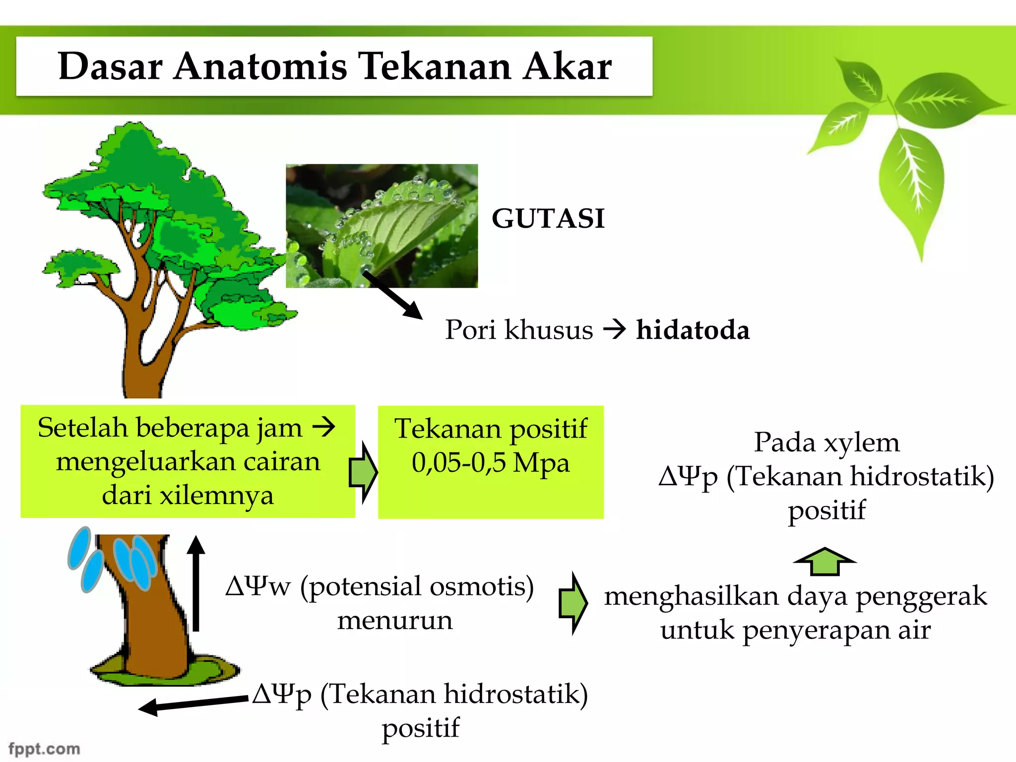 Keseimbangan Air Tanah Tumbuhan-Atmosfer | PDF