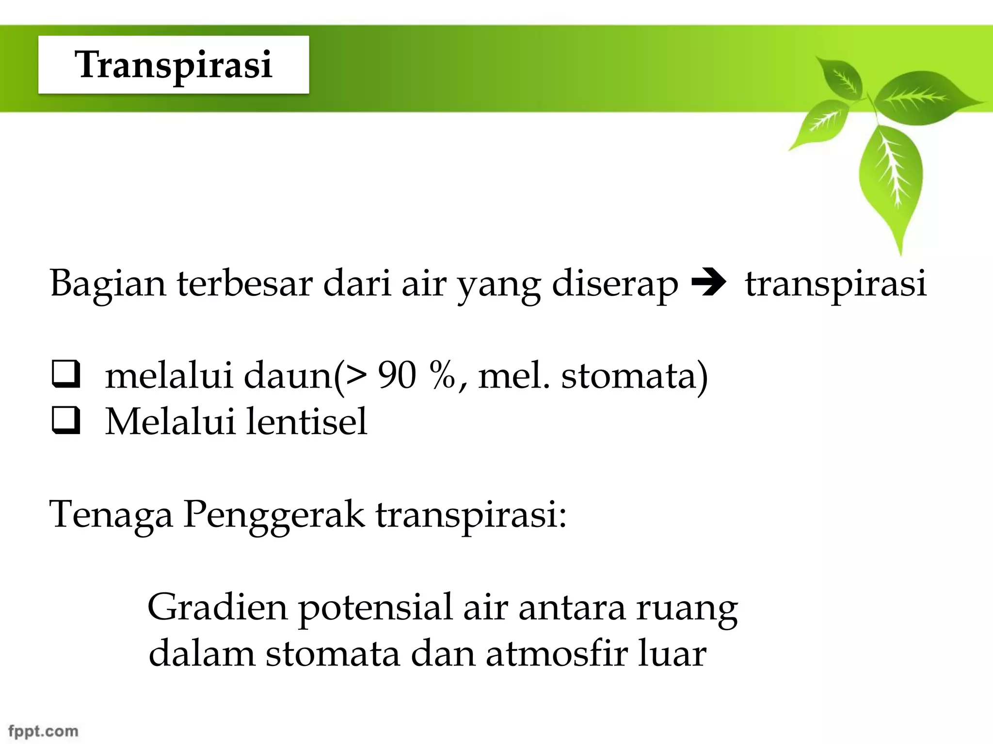Keseimbangan Air Tanah Tumbuhan-Atmosfer | PDF