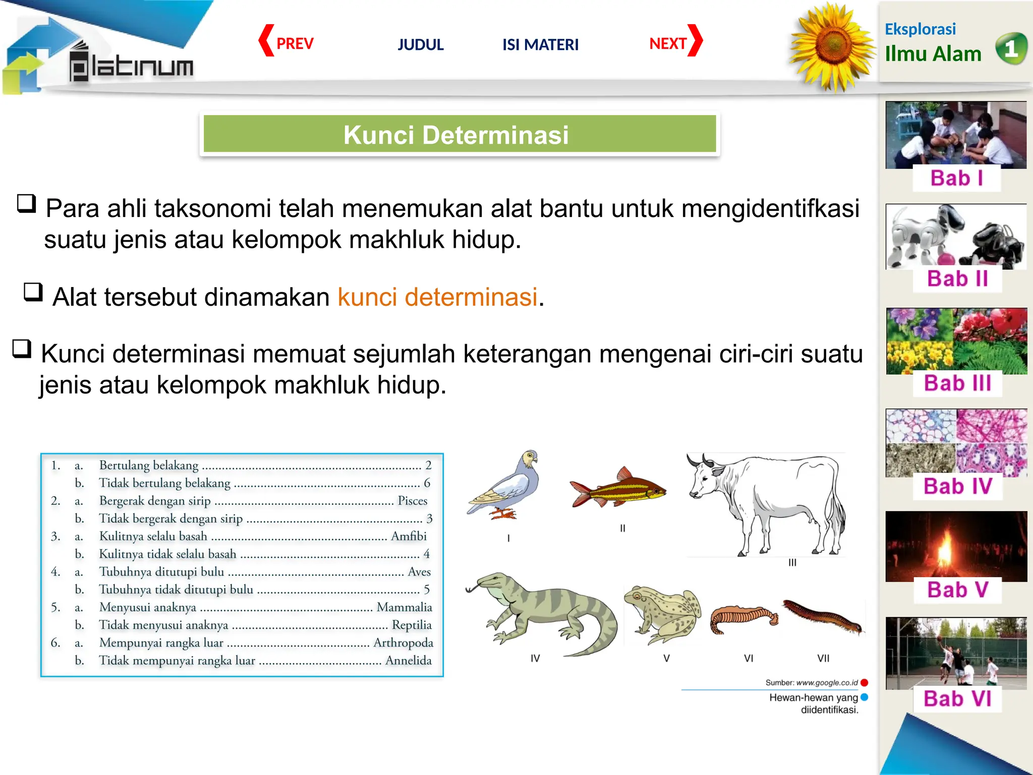Klasifikasi makhluk hidup adalah pengelompokan makhluk hidup ...
