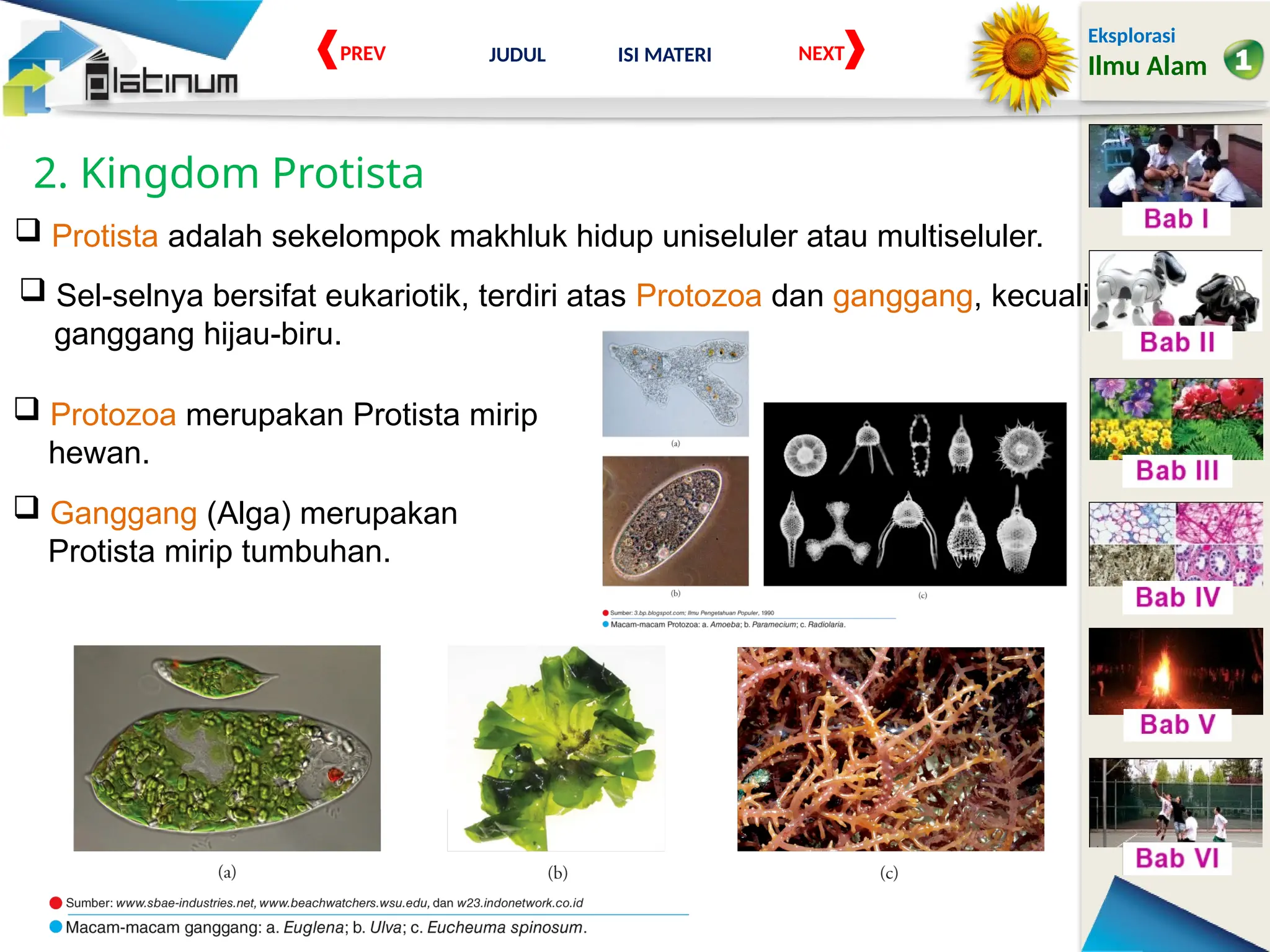 Klasifikasi makhluk hidup adalah pengelompokan makhluk hidup ...