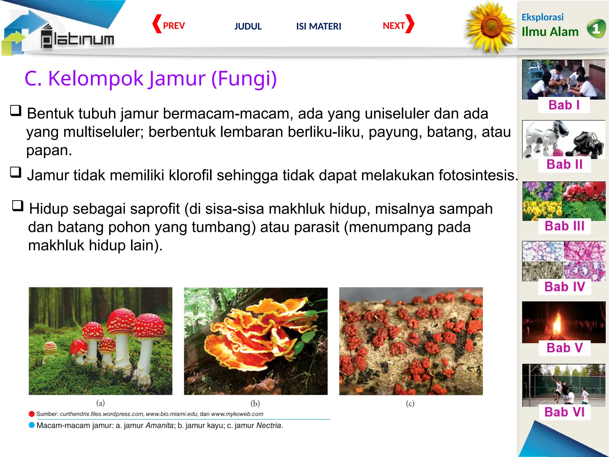 Klasifikasi makhluk hidup adalah pengelompokan makhluk hidup ...