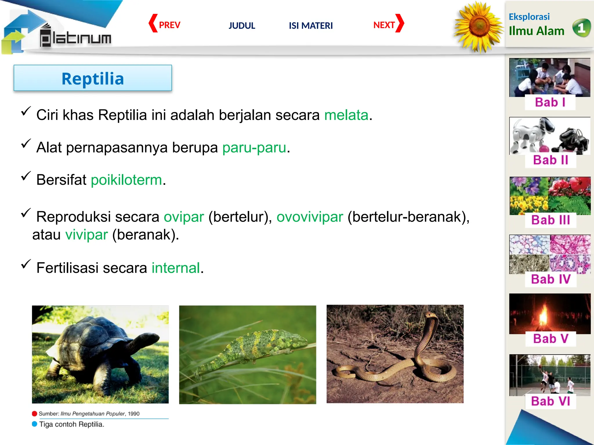 Klasifikasi makhluk hidup adalah pengelompokan makhluk hidup ...