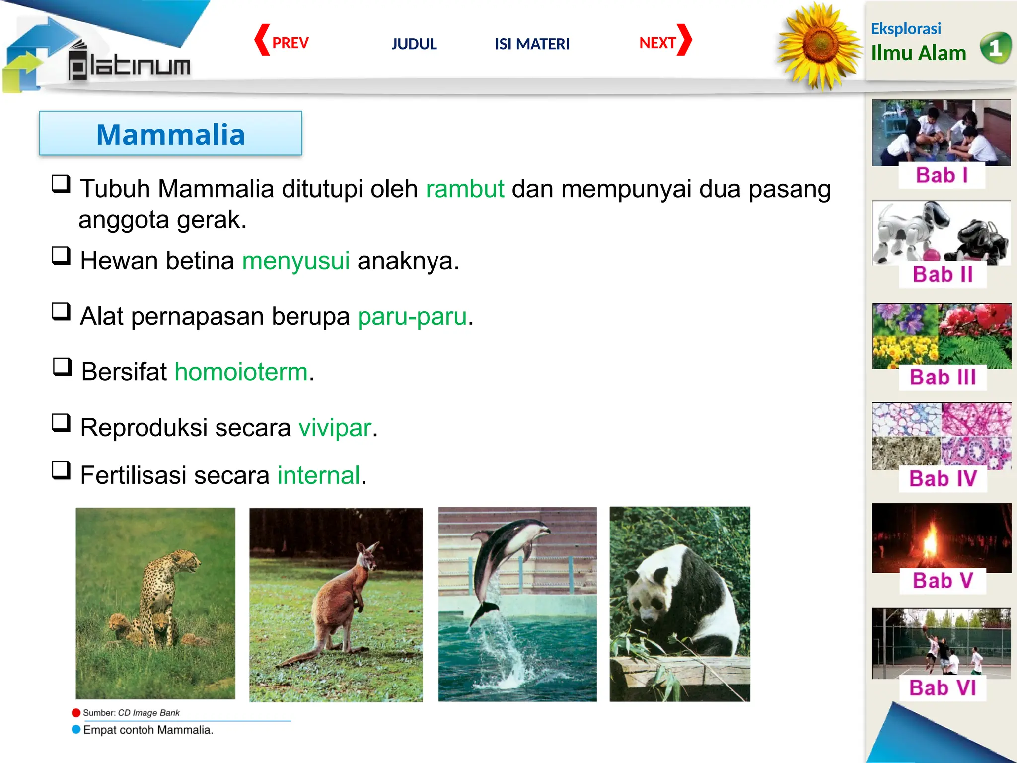 Klasifikasi makhluk hidup adalah pengelompokan makhluk hidup ...