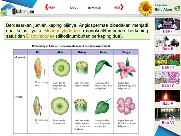 Klasifikasi makhluk hidup adalah pengelompokan makhluk hidup ...