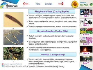 Klasifikasi makhluk hidup adalah pengelompokan makhluk hidup ...