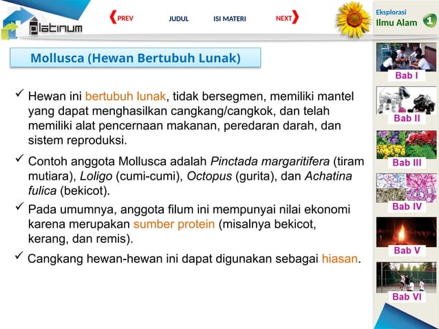 Klasifikasi makhluk hidup adalah pengelompokan makhluk hidup ...