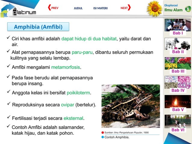 Klasifikasi makhluk hidup adalah pengelompokan makhluk hidup ...