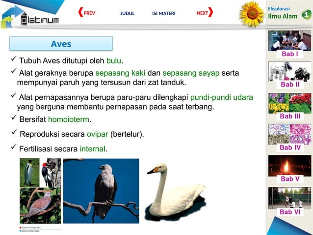 Klasifikasi makhluk hidup adalah pengelompokan makhluk hidup ...