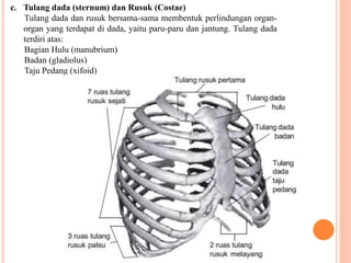 BAB 2 Sistem Gerak Manusia | PPTX