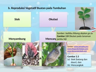 materi ipa,Bab II Sistem Perkembangbiakan pada Tumbuhan dan Hewan.pptx