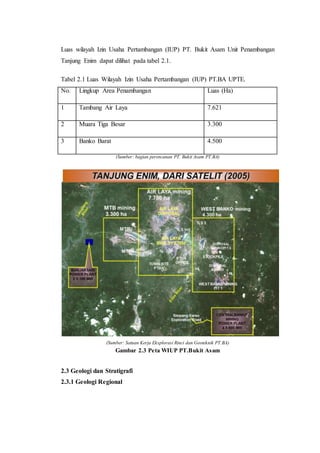 Bab ii tinjauan umum PTBA | DOCX