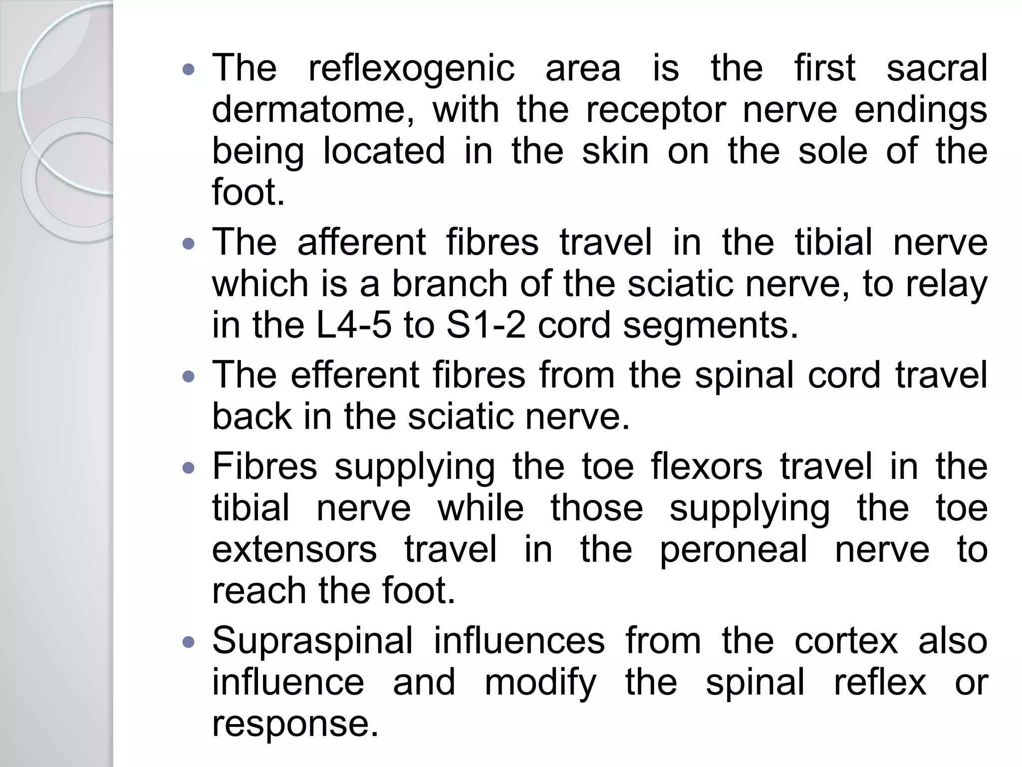 Babinski Sign | PPTX