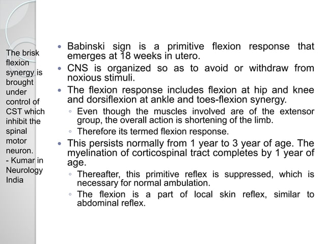 Babinski Sign | PPTX | Death, Injury, or Military Conflict | Sensitive ...