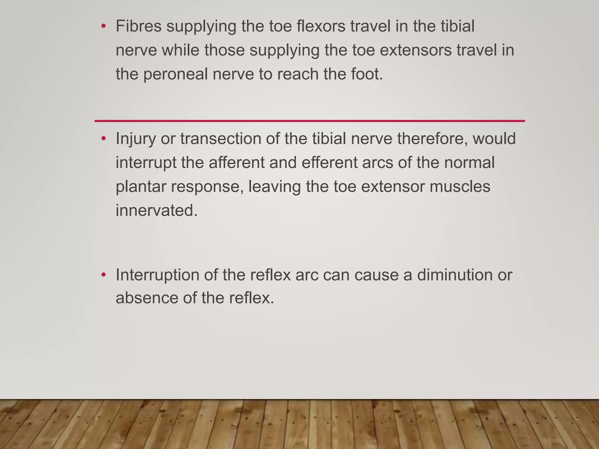 Babinski Sign | PPTX