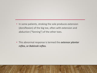 Babinski Sign | PPT