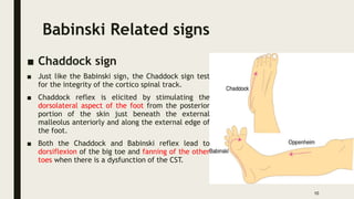 Babinski sign and related signs.pptx