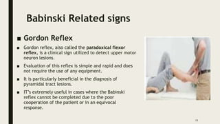 Babinski sign and related signs.pptx | Death, Injury, or Military ...