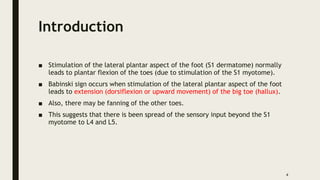 Babinski sign and related signs.pptx