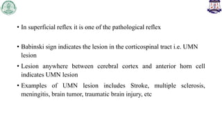 BABINSKI SIGN main.pptx