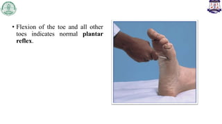 BABINSKI SIGN main.pptx