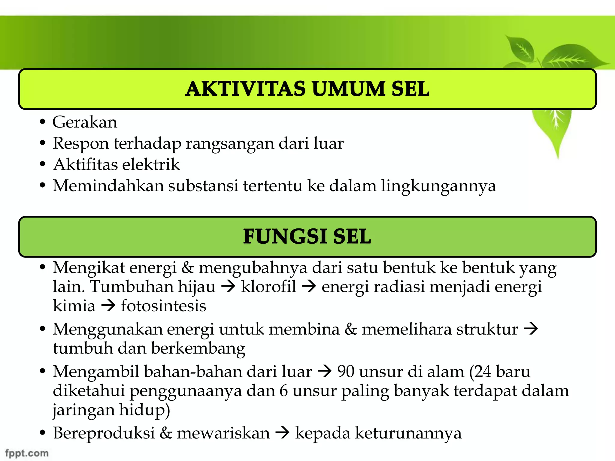 Fisiologi Tumbuhan Pendahuluan | PPTX