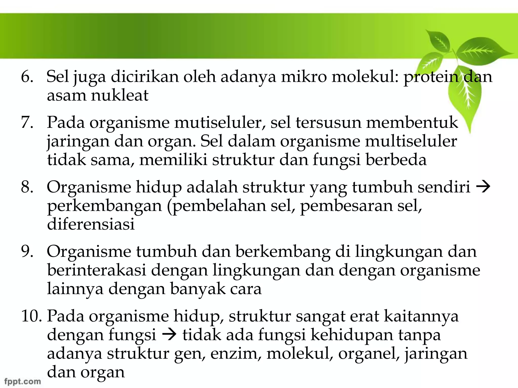 Fisiologi Tumbuhan Pendahuluan | PPTX