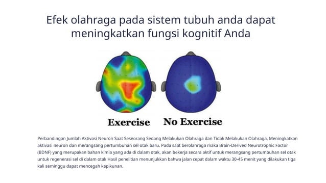 sehat holistik berdasarkan dari pengertian WHO | PPTX