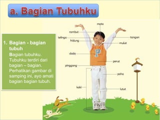 Bab i tubuhku | PPTX