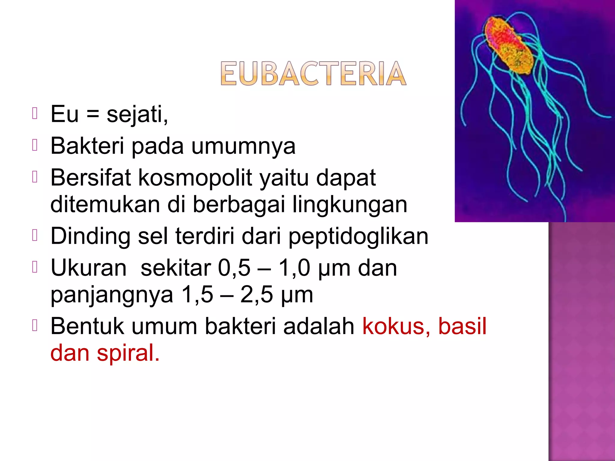 Bab iv archaebacteria & eubacteria | PPT
