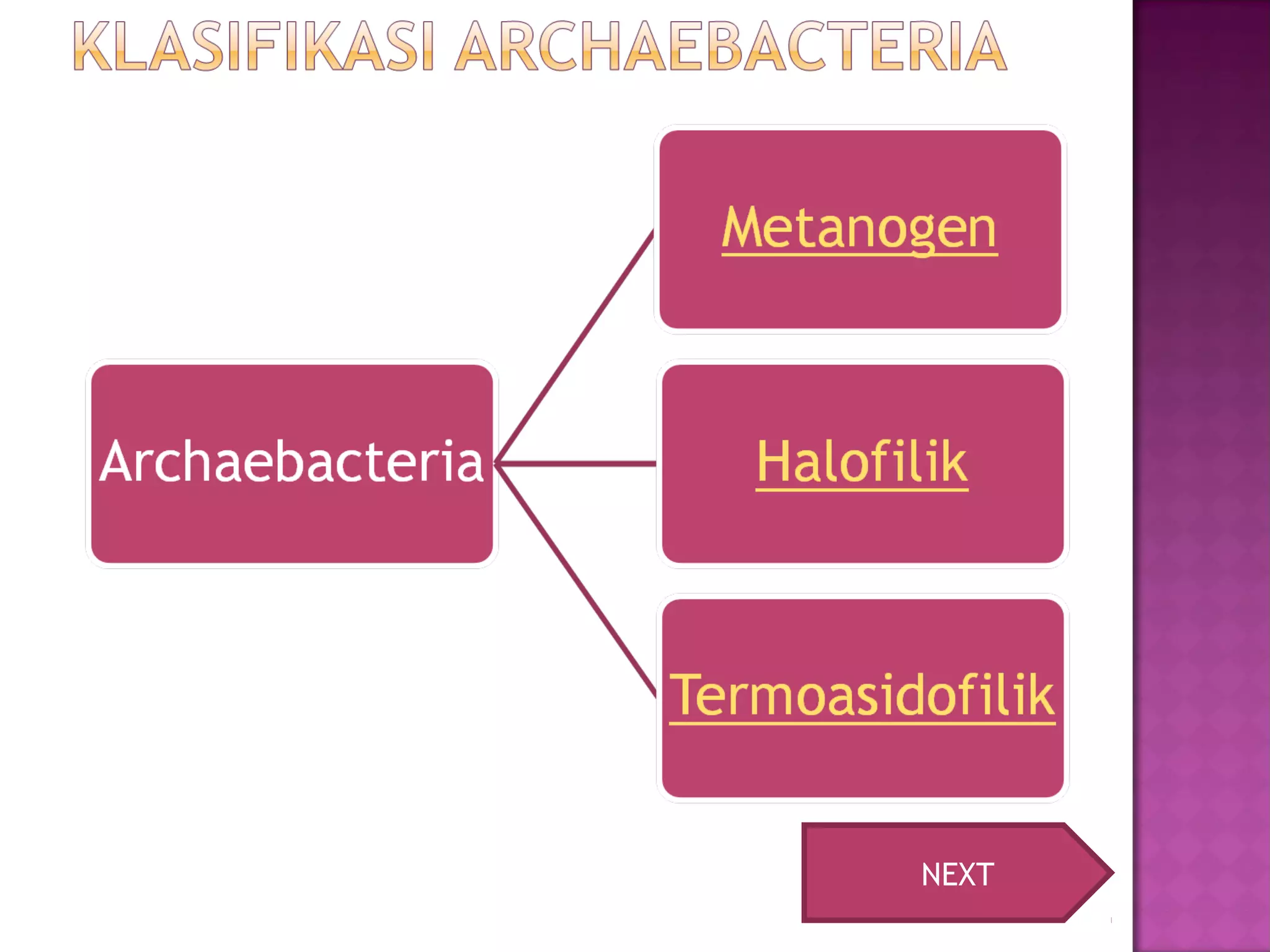 Bab iv archaebacteria & eubacteria | PPT