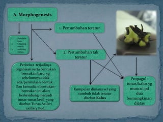 Bab iv konsep mikropropagasi | PPTX