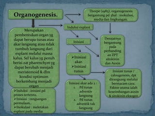 Bab iv konsep mikropropagasi | PPTX