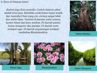 IPS TERPADU Bab ix bumi sebagai tempat tinggal | PPTX