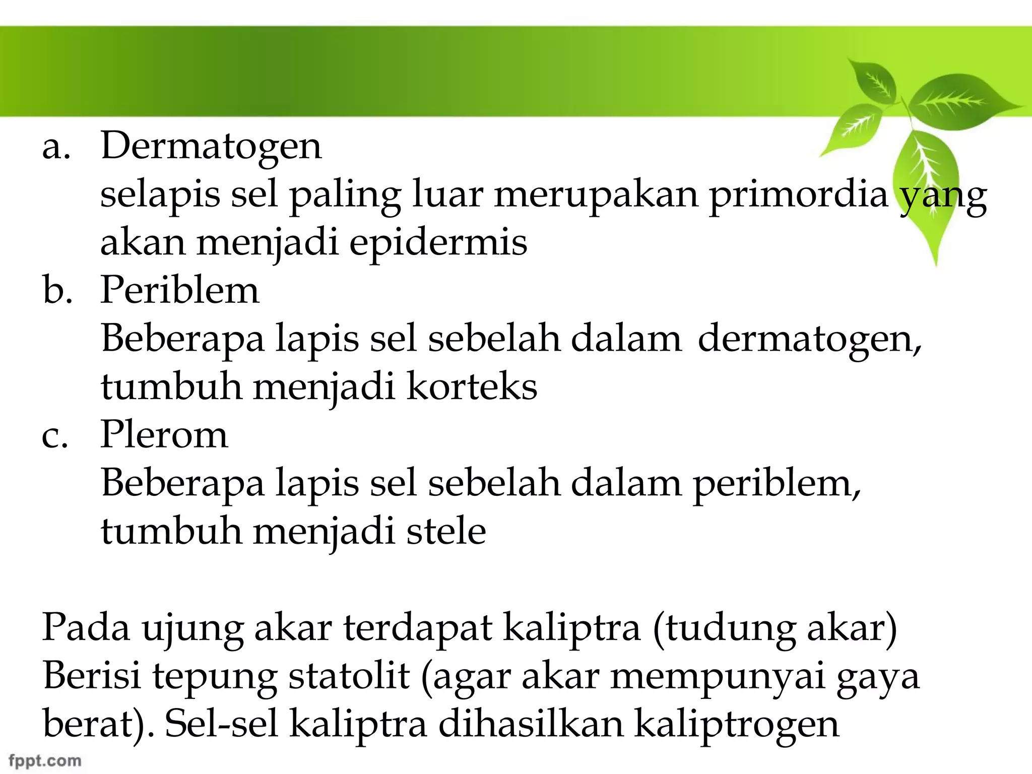 Pertumbuhan dan Perkembangan Tanaman | PDF
