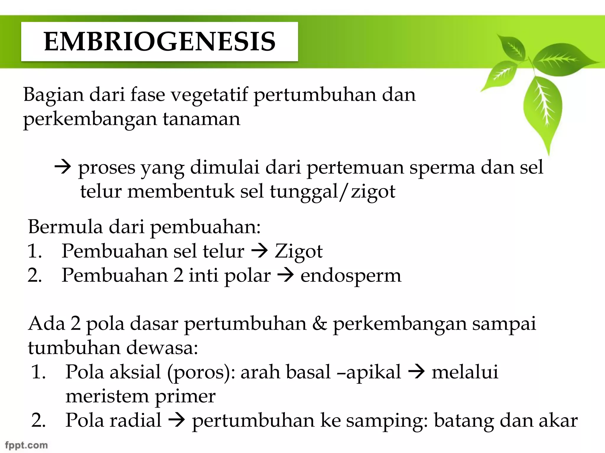 Pertumbuhan dan Perkembangan Tanaman | PDF