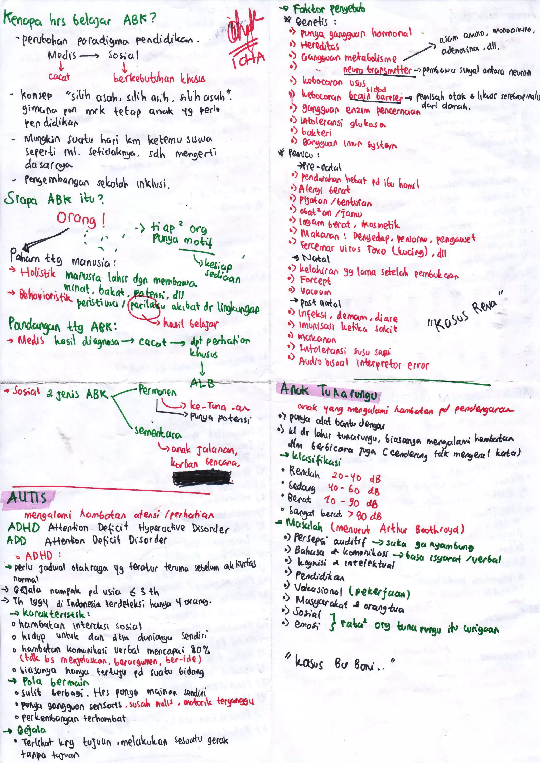 BAHAN UAS BIMBINGAN ANAK BERKEBUTUHAN KHUSUS (PGSD) | PDF