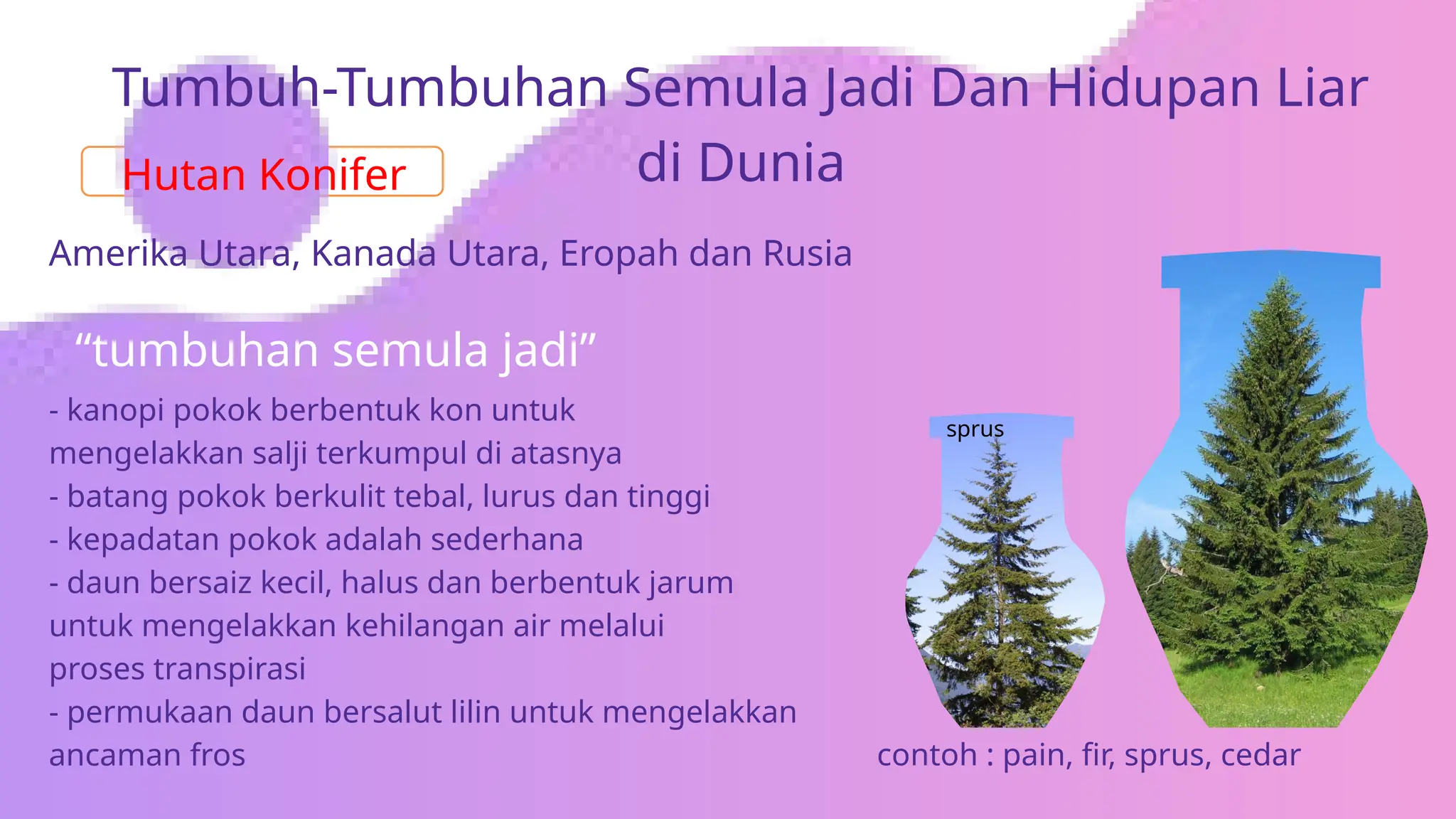 GEOGRAFI TINGKATAN 3 BAB 8 - TUMBUH-TUMBUHAN SEMULA JADI DAN HIDUPAN ...