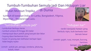 GEOGRAFI TINGKATAN 3 BAB 8 - TUMBUH-TUMBUHAN SEMULA JADI DAN HIDUPAN ...