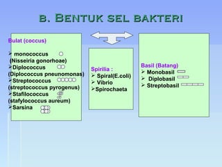 monera kelas X semester I | PPT