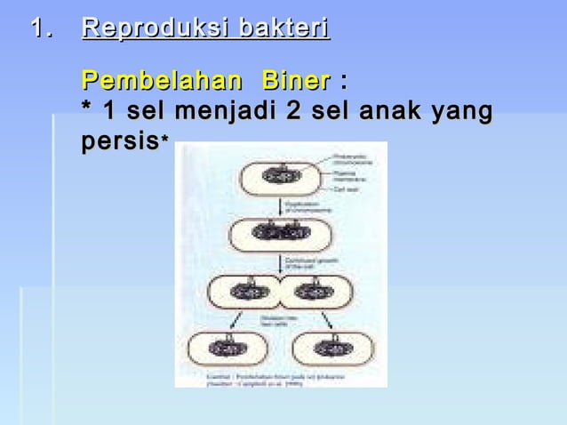 monera kelas X semester I | PPT
