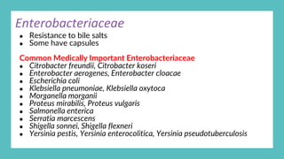 BABS 201 Lecture 5. Gram negative organisms; Enterobacteriaceae-1.pdf